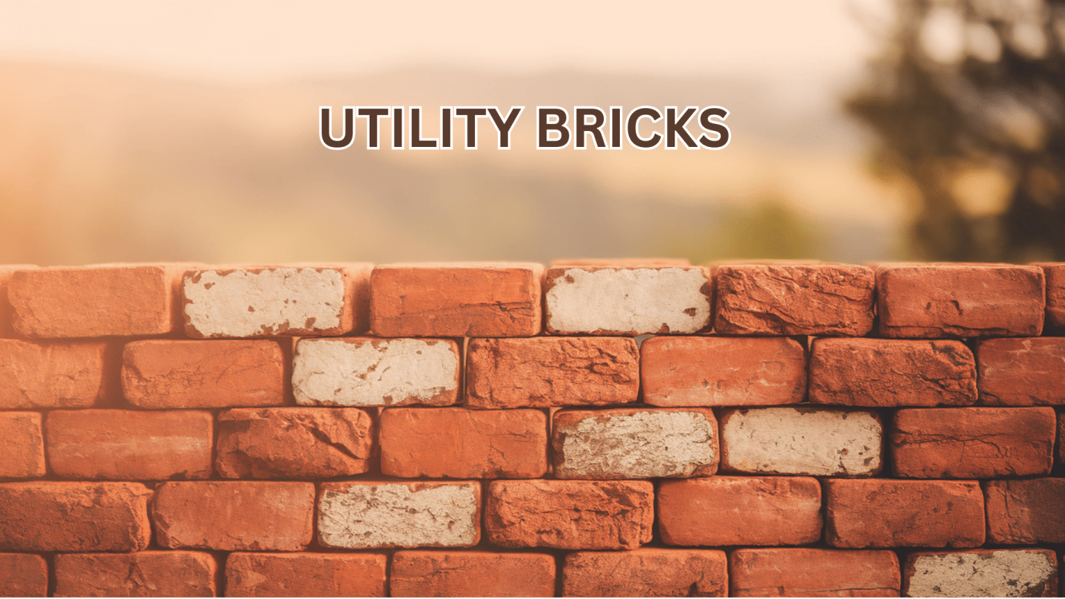 Utility Brick Size, Dimensions, Uses, and Benefits - Le Meridien Chambers